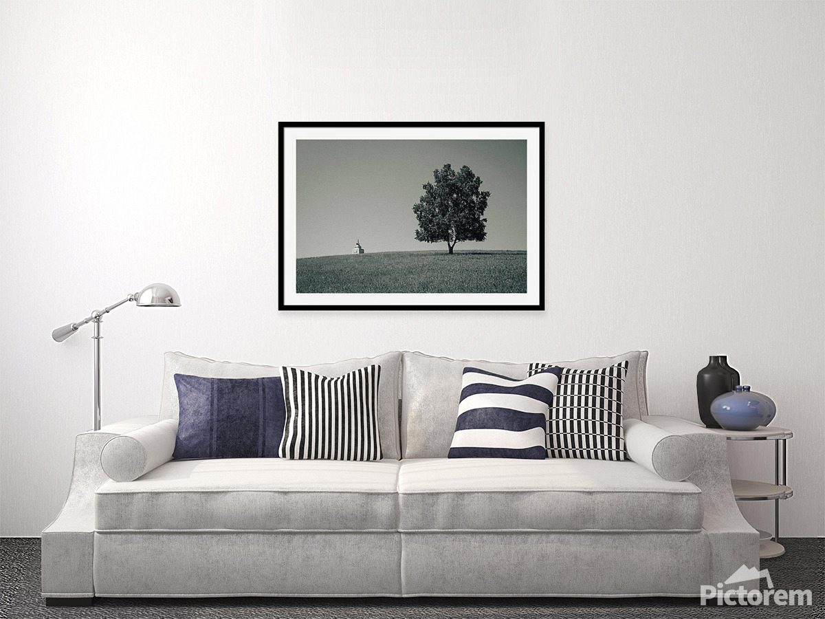 The Lonely Tree in Mongolia